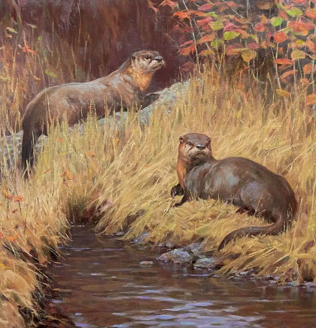 A Quiet Creek Bed - River Otter Pair