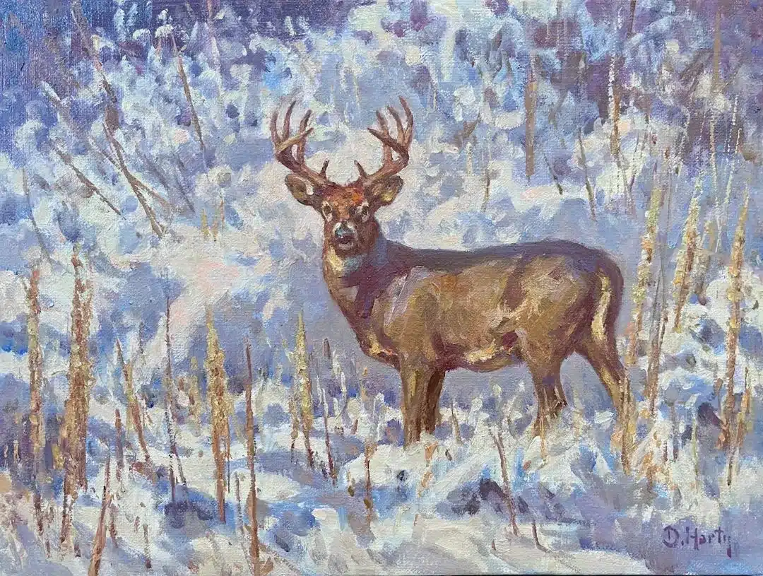 Winter Whitetail Buck